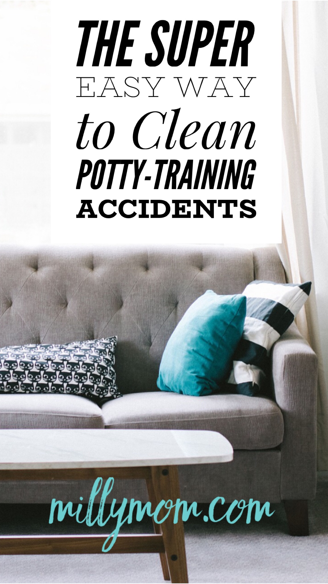 The Super Easy Way to Clean Potty-Training Accidents – Milly Mom