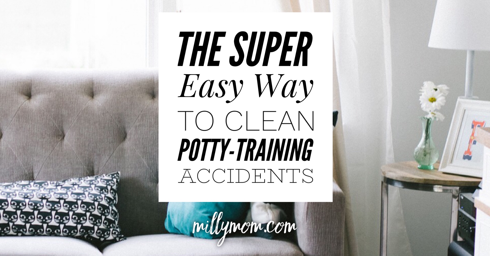 The Super Easy Way to Clean Potty-Training Accidents – Milly Mom